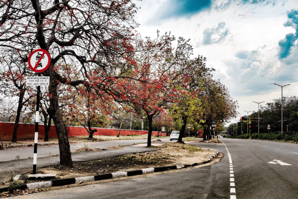 Chandigarh: Reclaiming the Legacy of India’s Unsung Modernist ...