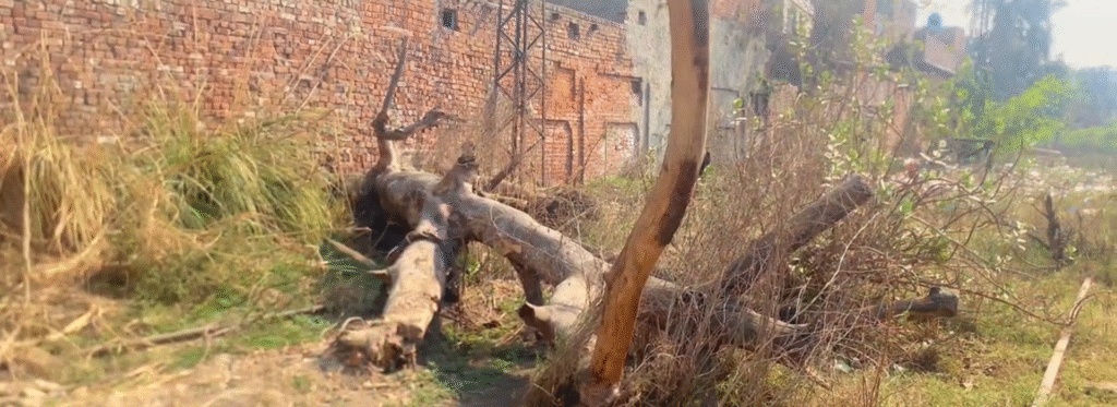 Lost in Lahore: The Forgotten Shrine of Baba Sri Chand | Khalsa Vox