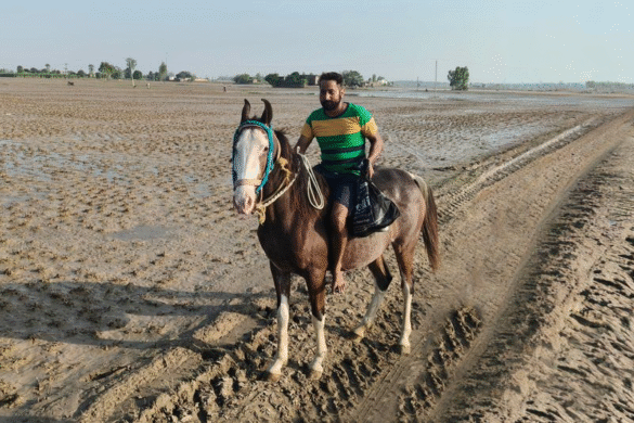 Goindwal Sahib: The Sacred Heartbeat of Sikhism | Khalsa Vox